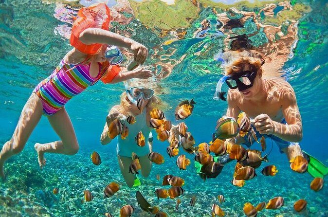 Full-Day Khao Lak to Similan Island Snorkeling Tour with Lunch - FAQs