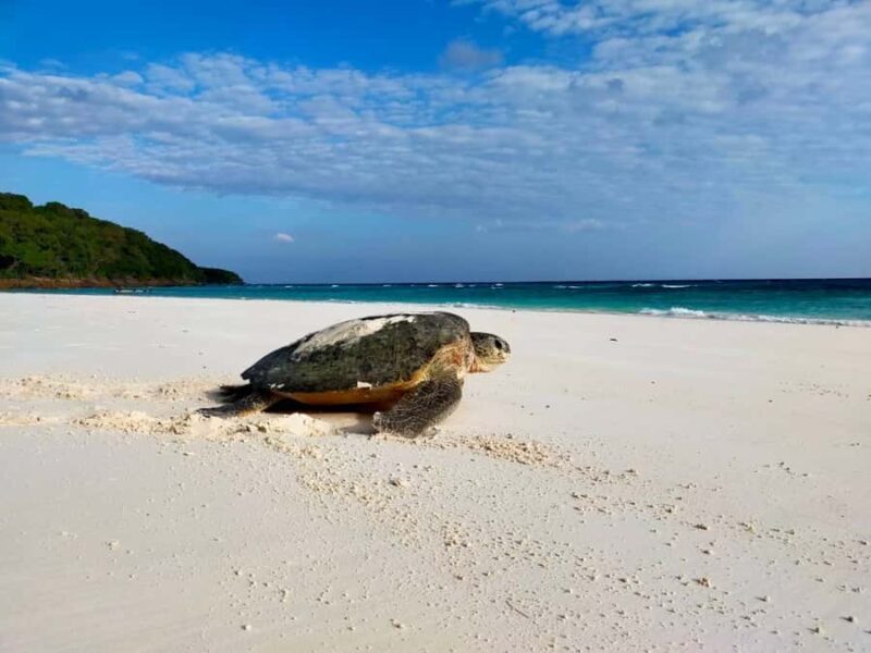 Full-Day Khaolak Highlights & Spa - Transport, Timing, and Group Size