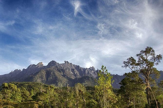 Full-Day Kinabalu Park and Poring Hot Spring - Poring Hot Springs: Relaxation and Adventure in the Rainforest