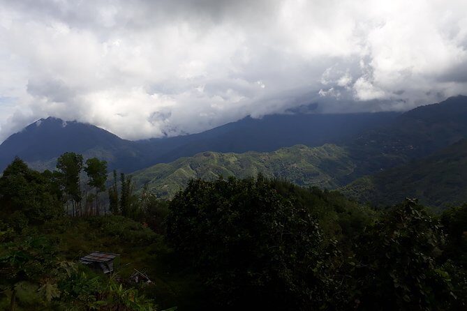 Full-Day Kinabalu Park and Poring Hot Spring - Analyzing Cost and Value