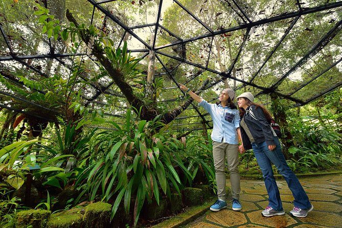 Full-Day Kinabalu Park and Poring Hot Spring Day Trip - Who Will Love This Tour?