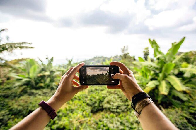 Full-Day Kingston and Blue Mountains Private Guided Tour - FAQ