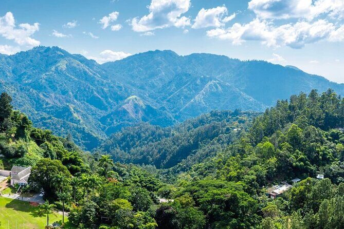 Full-Day Kingston and Blue Mountains Private Guided Tour - The All-Inclusive Itinerary: An In-Depth Look