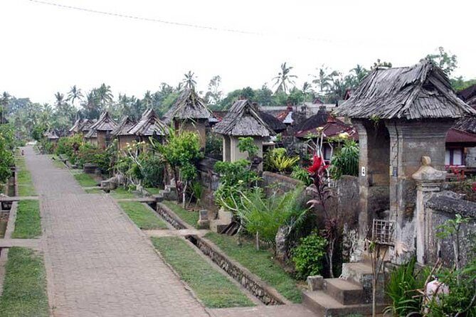 Full Day Kintamani and Penglipuran Village Private Chartered Car Tour from Bali - An Authentic Bali Day: What to Expect