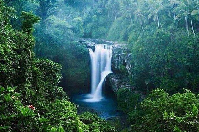 Full-Day : Kintamani Volcano - Jungle Swing - Rice Terrace - Waterfall - Temple - Exploring Bali in a Day: What to Expect