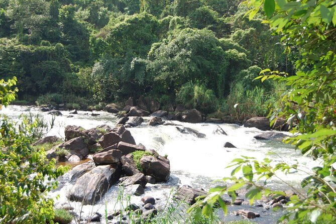 Full-Day Kitulgala White Water Rafting Tour from Colombo - An In-Depth Look at the Kitulgala White Water Rafting Tour
