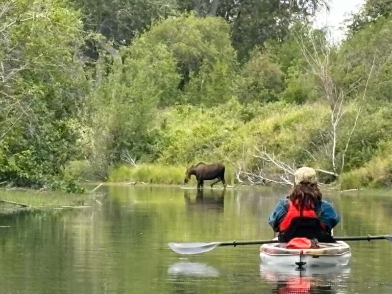 Full Day Knik River Tour - What’s the Tour All About?
