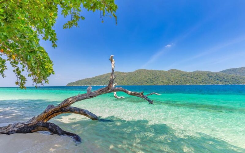 Full-Day Koh Lipe 5 points Snorkeling Experience with Lunch - Detailed Review of the Experience