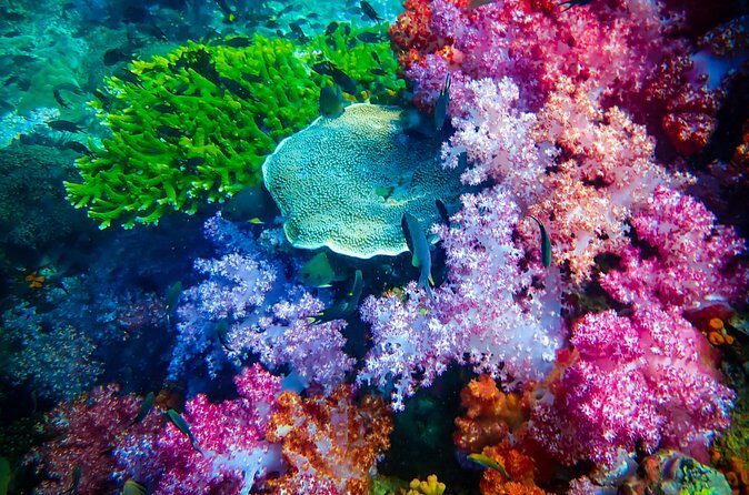 Full-Day Koh Lipe 7 Islands Snorkeling Experience with Lunch - Who Will Enjoy This Tour?