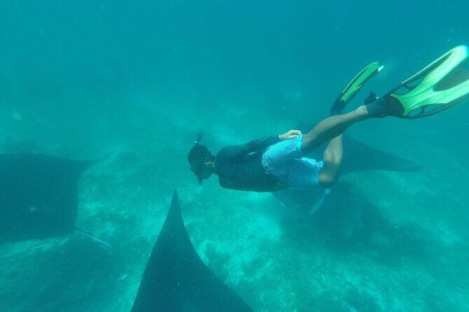 Full-Day Komodo Island Boat Trip - Stop 6: Kanawa Island