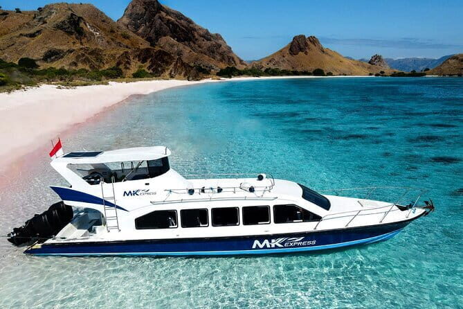 Full Day Komodo Tour With MK Express Speedboat Visit 6 Spot - Exploring the Full Day Komodo Tour With MK Express Speedboat: An Honest Review