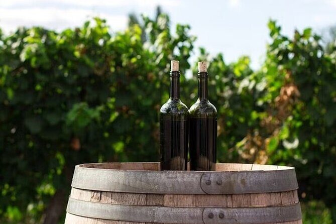 Full Day Korcula and Peljesac Wine Tasting Tour in Dubrovnik - Frequently Asked Questions