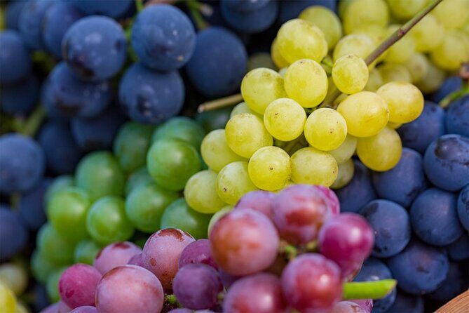 Full-Day Korean orchard tour with Lunch[Depart from Busan] - Final Thoughts