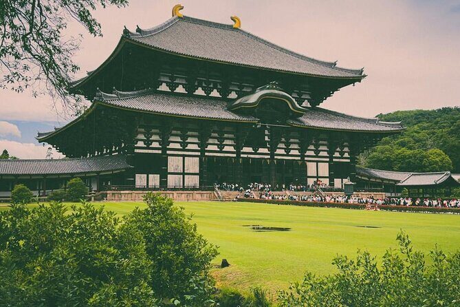 Full Day Kyoto and Nara Tour - Who This Tour Is Best For