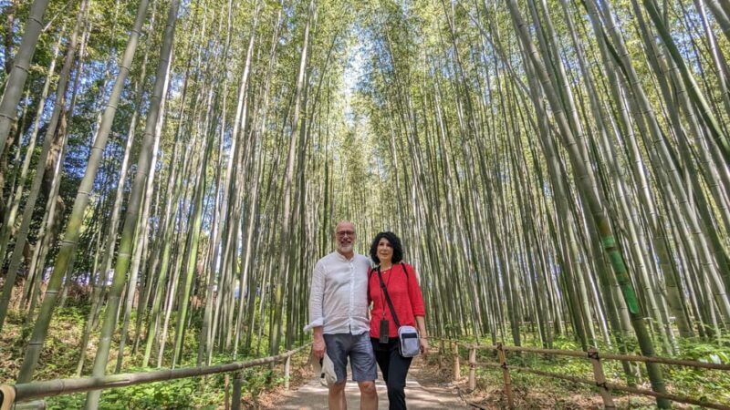 Full-Day Kyoto Walking Tour: Most Iconic Landmarks & Monkeys - An In-Depth Look at the Tour Experience