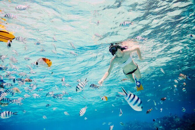 Full Day Lagoon Group Tour in Bora Bora with Lunch - FAQ