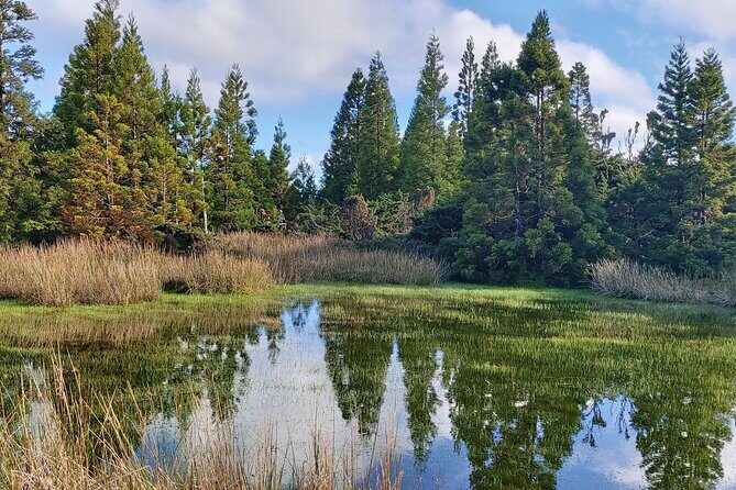 Full Day Lagoons and Volcanoes Tour in Terceira Island - The Sum Up