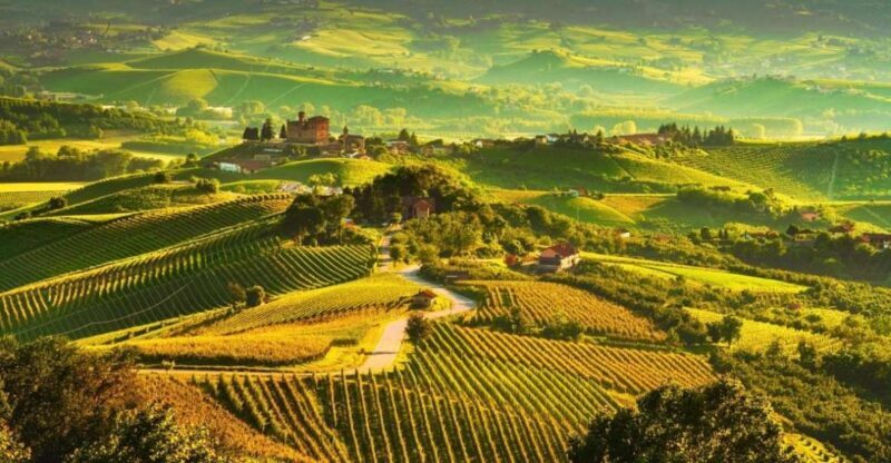 Full-Day Langhe Region Tour with Wine Tasting Experience - Key Points