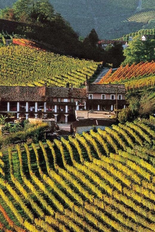 Full-Day Langhe Region Tour with Wine Tasting Experience - The Itinerary: From Turin to the Heart of Piedmont