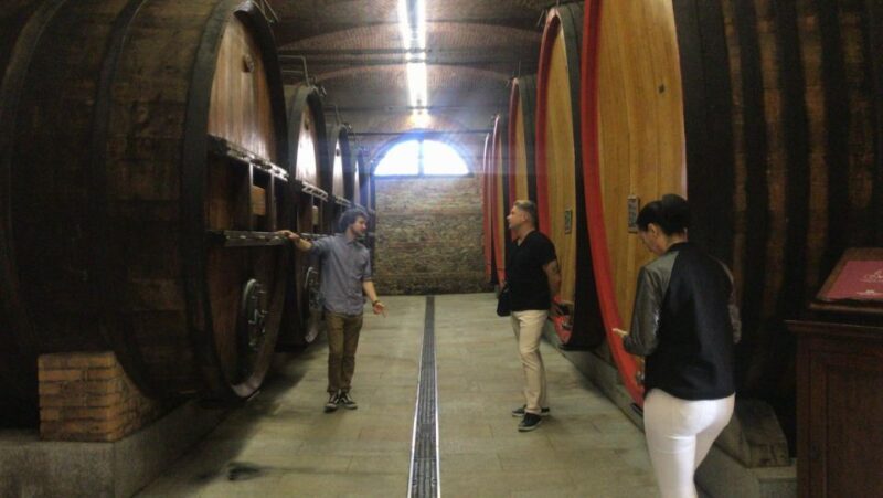 Full-Day Langhe Region Tour with Wine Tasting Experience - Final Thoughts: Is It Right for You?