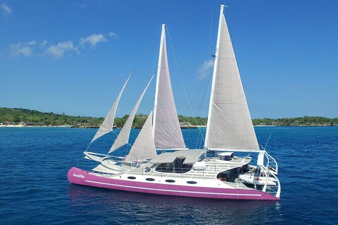 Full day Lembongan Island Catamaran Cruise with BBQ Lunch - Introduction: What This Tour Offers and Who It’s For