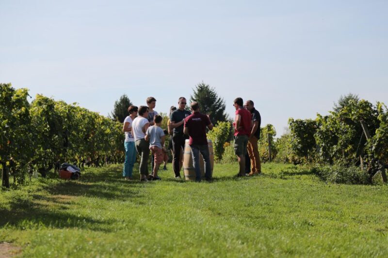 Full Day Loire Valley Wine Tour with lunch: Vouvray & Chinon - What’s Not to Love?