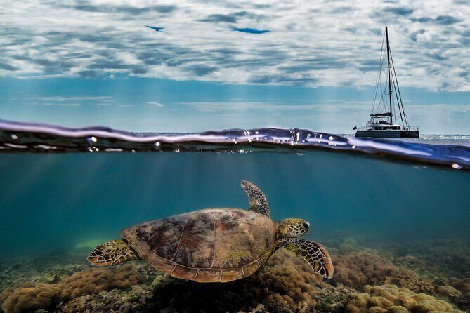 Full Day Low Isles Sailing & Snorkelling Cruise from Port Douglas - Practical Details