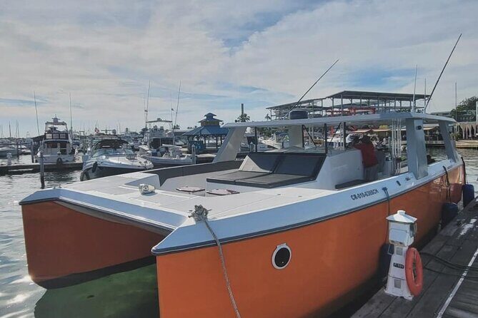 Full Day Luxury Snorkel Charter With Lunch (Minimum 10 Guests) - Exceptional Equipment and Onboard Comforts