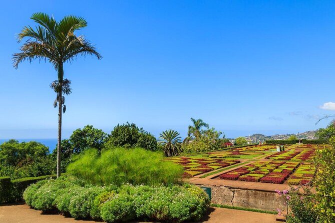 Full Day Madeira Island Private Discovery by Tuk Tuk - Key Points