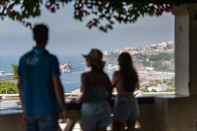 Full Day Madeira Island Private Discovery by Tuk Tuk - Who Should Consider This Tour?