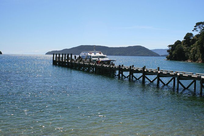 Full-Day Marlborough Catamaran Cruise with Wine Tour and Lunch - Introduction
