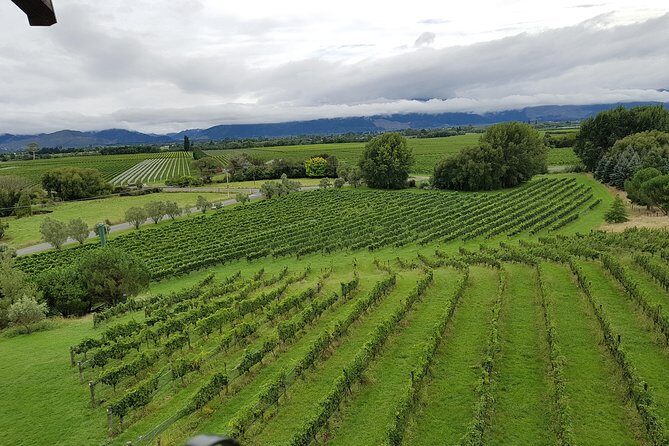 Full-Day Marlborough Catamaran Cruise with Wine Tour and Lunch - The Sum Up