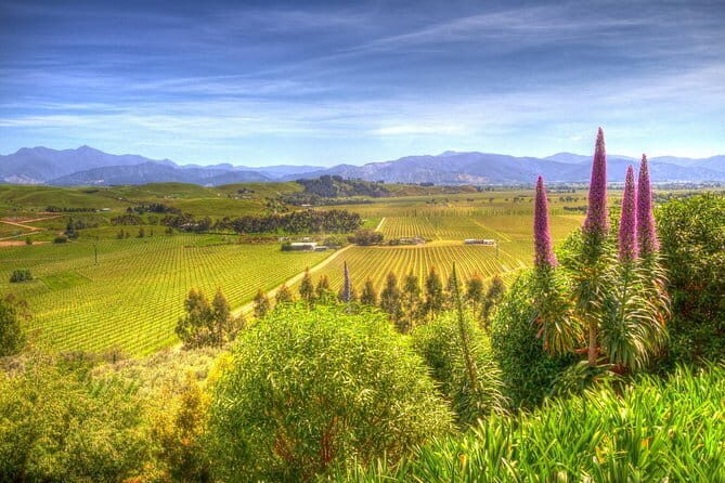 Full-Day Marlborough Scenic and Wine Tour from Blenheim - FAQ