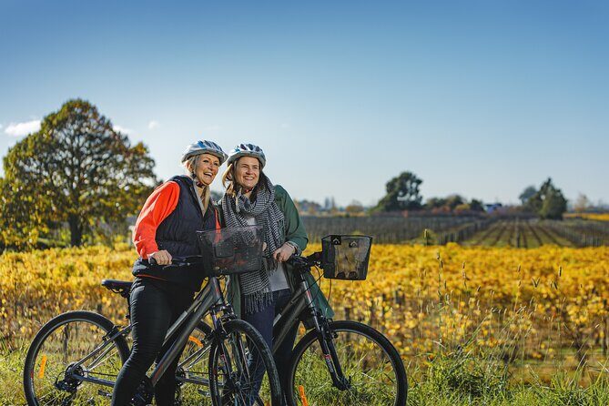 Full-Day Marlborough Wine Region Bike Hire - A Ride Through Marlborough’s Vineyards: The Full-Day Bike Tour