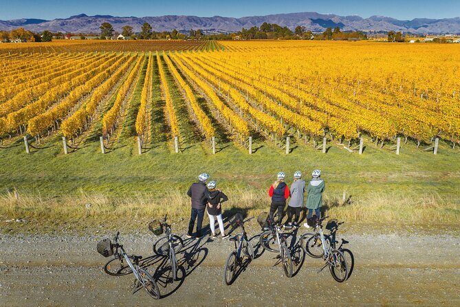 Full-Day Marlborough Wine Region Bike Hire - Final Thoughts: Is It Worth It?