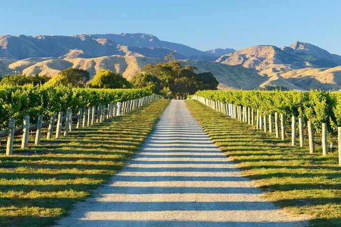 Full-Day Marlborough Wine Tour Including Wine Tasting - What to Expect from the Itinerary