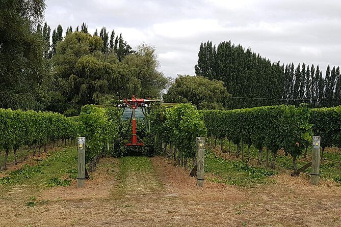 Full-Day Marlborough Wine Tour Including Wine Tasting - Who Should Book This Tour?