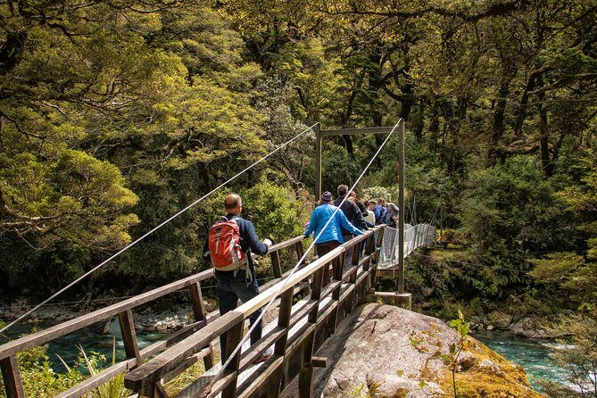 Full-Day Milford Sound Tour with Cruise and Walks from Te Anau - The Experience’s Practicalities