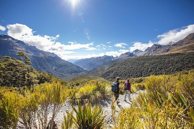 Full-Day Milford Sound Tour with Cruise and Walks from Te Anau - Who Should Consider This Tour?