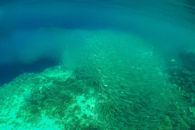 Full-Day Moalboal Islands and Kawasan Falls Small-Group Tour from Cebu - Analyzing the Value