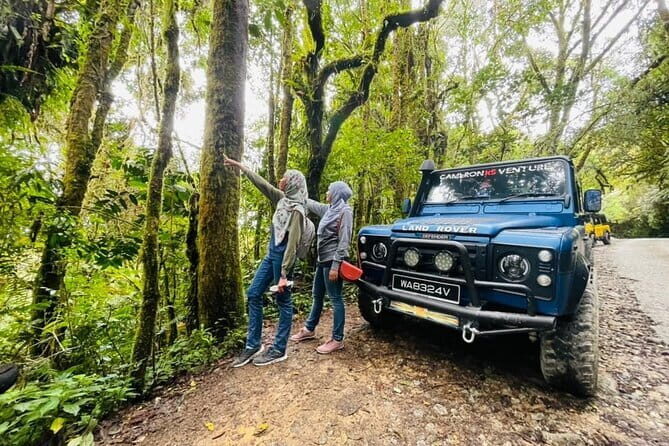 Full Day Mossy Forest Experience - An In-Depth Look at the Experience