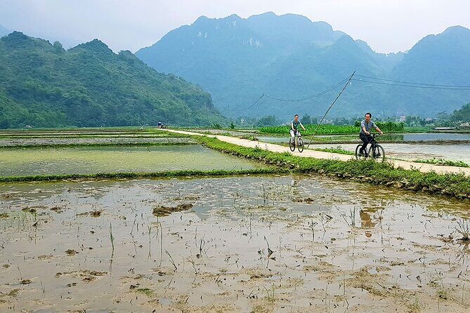 Full Day Motorbike Tour in Pu Luong Nature Reserve - An In-Depth Look at the Full Day Motorbike Tour