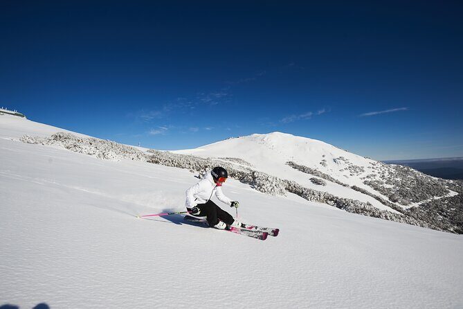 Full-Day Mount Buller Tour - Analyzing the Price and Overall Value