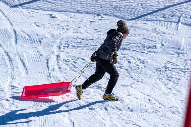 Full-Day Mount Buller Tour - The Sum Up: Who Will Love This Tour?