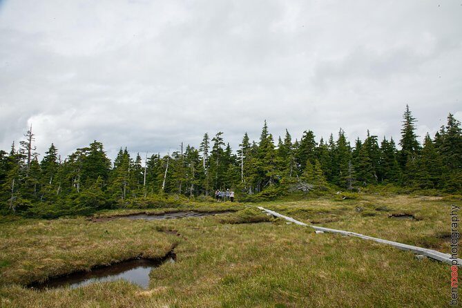 Full-Day Mount Riley Hike from Haines - Key Points