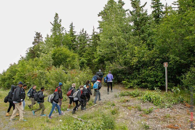 Full-Day Mount Riley Hike from Haines - An In-Depth Look at the Mount Riley Hike