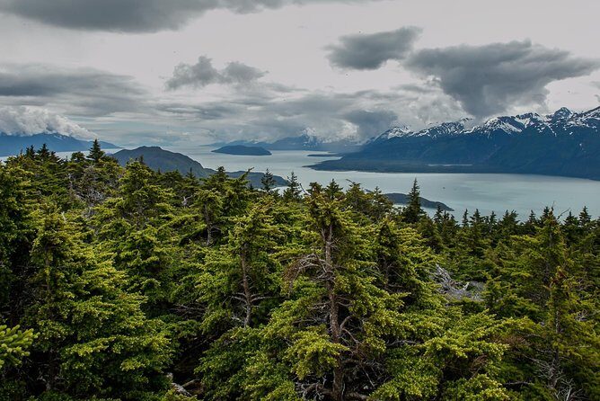 Full-Day Mount Riley Hike from Haines - The Sum Up