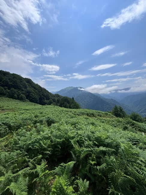 Full Day Mountine Tours from Batumi - The Sum Up