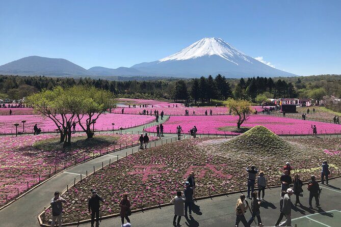 Full Day Mt.Fuji Tour , From/To Tokyo, Yokohama, 2- 12 guests - Who Should Consider This Tour