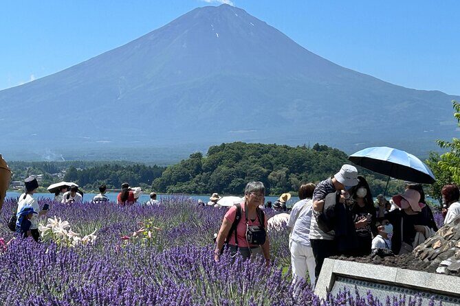 Full Day Mt.Fuji&Hakone Tour, From-To Tokyo, Yokohama, 2-12guests - Lunch and Relaxation at Gotemba